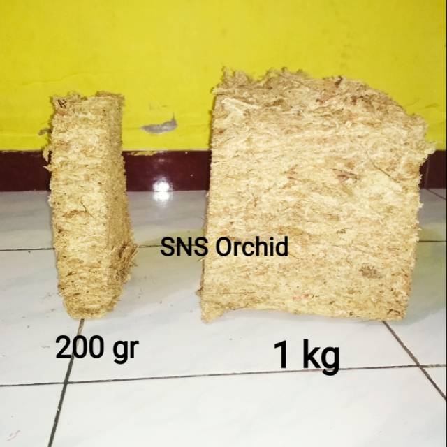 Jual Media tanam spaghnum moss 200 gram sphagnum mos spagnum lumut ...
