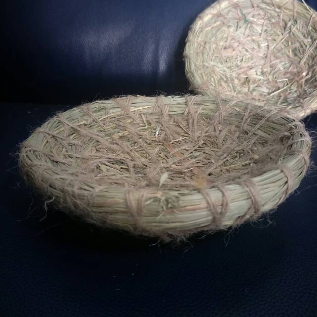 Jual SARANG BURUNG PERKUTUT TEMPAT BERTELUR DAN MENGERAM | Shopee Indonesia