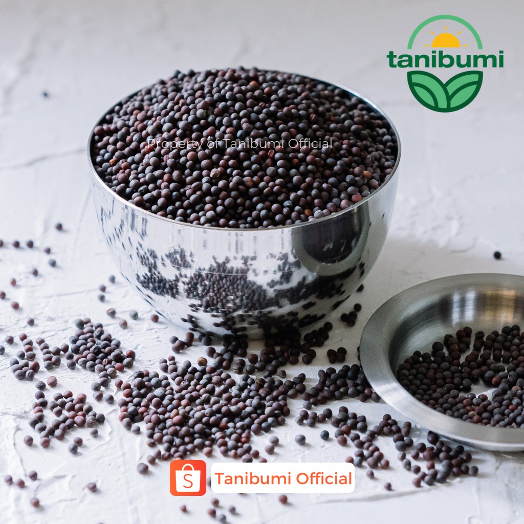 Jual 500g | Premium Black Mustard Seed Import | Biji Sawi / Sesawi ...