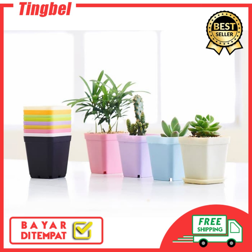 Jual Pot Bunga Mini Cantik Vas Plastik Colorful Vertical Flower Hiasan ...