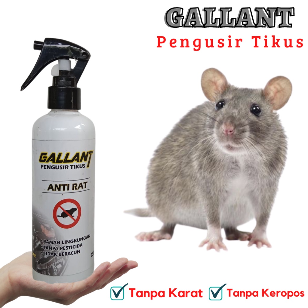 Jual Pengusir Tikus Cairan Gallant Anti Rat Spray 250 ml untuk kap ...