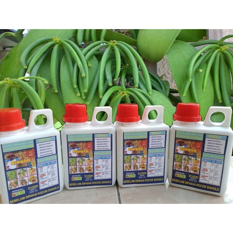 Jual Pupuk Organik Cair Biogan Untuk Tanaman Vanili 500ml | Shopee ...