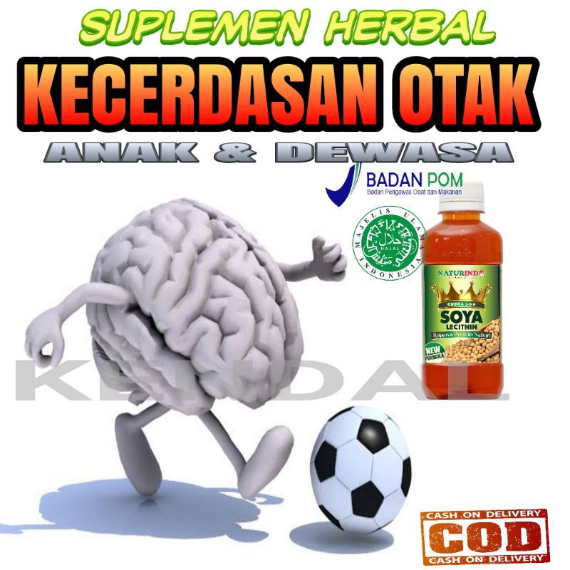 Jual Suplemen Kecerdasan Otak Anak & Dewasa Obat Penambah Konsentrasi ...