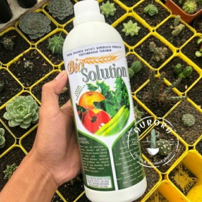 Jual Pupuk Cair Bio Solution Cocok Untuk Kaktus Dan Skulen Ready | Shopee Indonesia