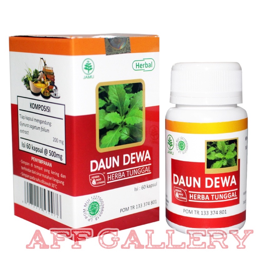 Jual HIU DAUN DEWA Obat LIVER | HERBAL LEVER KENCING MANIS TB BARU ...