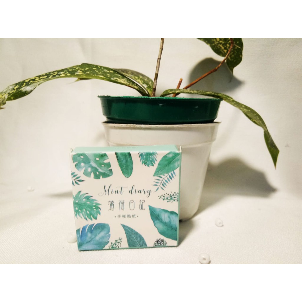 Jual Sticker Deco (Mint Diary) | Shopee Indonesia