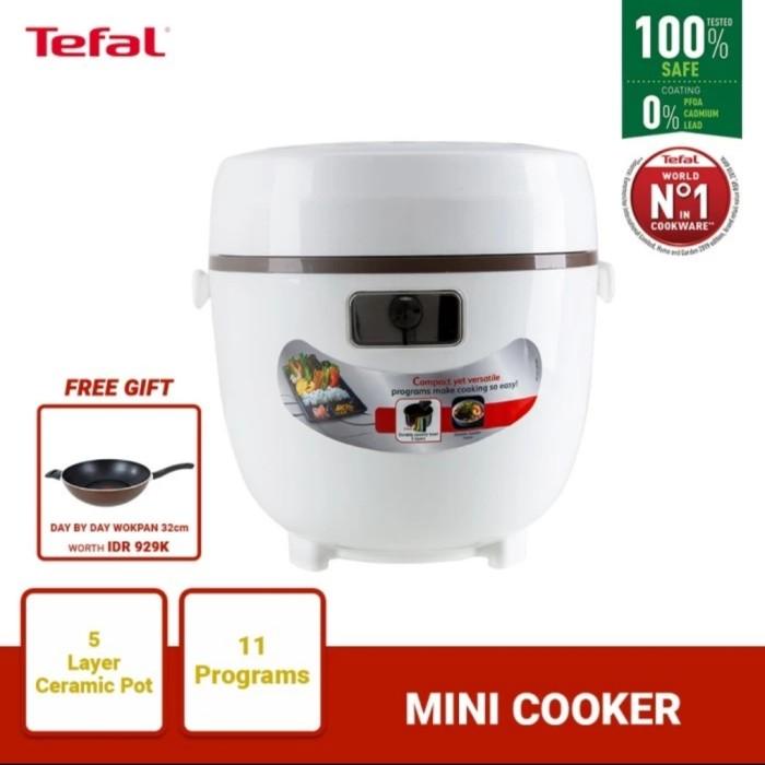 Jual Tefal Mini Cooker Rk5001 - Rice Cooker Magic Com Original | Shopee ...