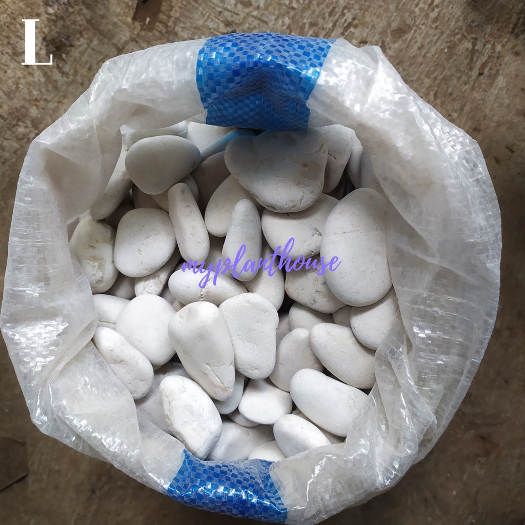 Jual BATU KORAL PUTIH KUPANG ( Karungan 10 Kg ) Khusus Sameday & Instant Courier | Shopee Indonesia