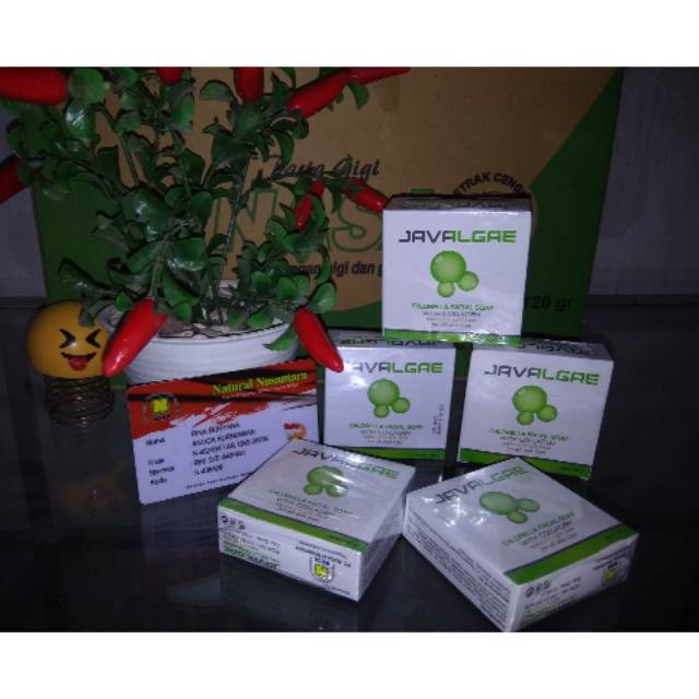 Jual Javalgae Nasa Sabun Batang Berkolagen | Shopee Indonesia