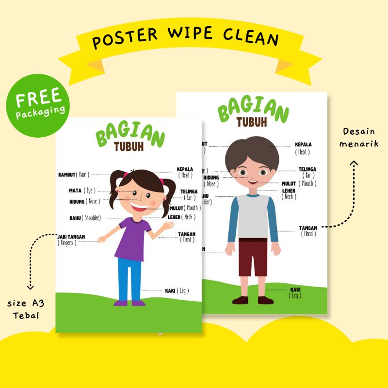 Jual POSTER ANAK SERI BAGIAN TUBUH (BILINGUAL) - POSTER BELAJAR EDUKASI ...