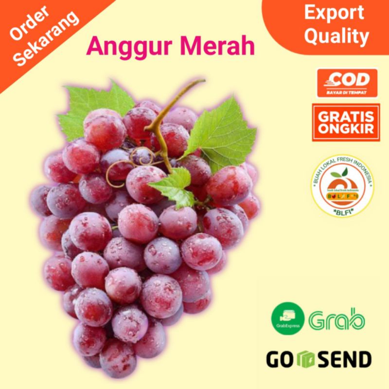 Jual BUAH ANGGUR RED GLOBE 1kg | Shopee Indonesia