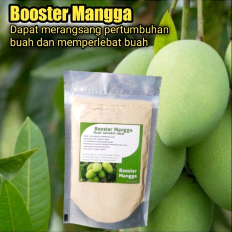 Jual booster mangga perangsang buah mangga pelebat buah pupuk buah | Shopee Indonesia