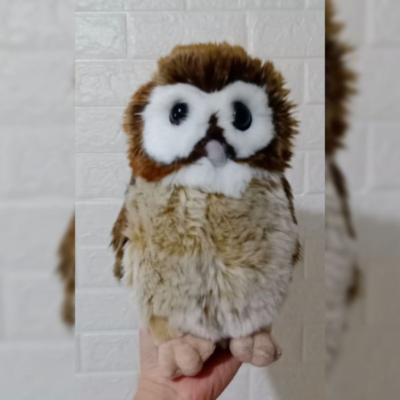 Jual Boneka Owl (Burung Hantu) | Shopee Indonesia