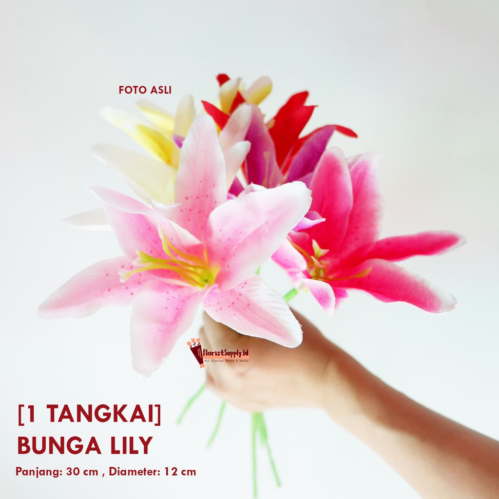 Jual FLOPY [1 Tangkai] Bunga Lily Artificial Import by Florist Supply ...