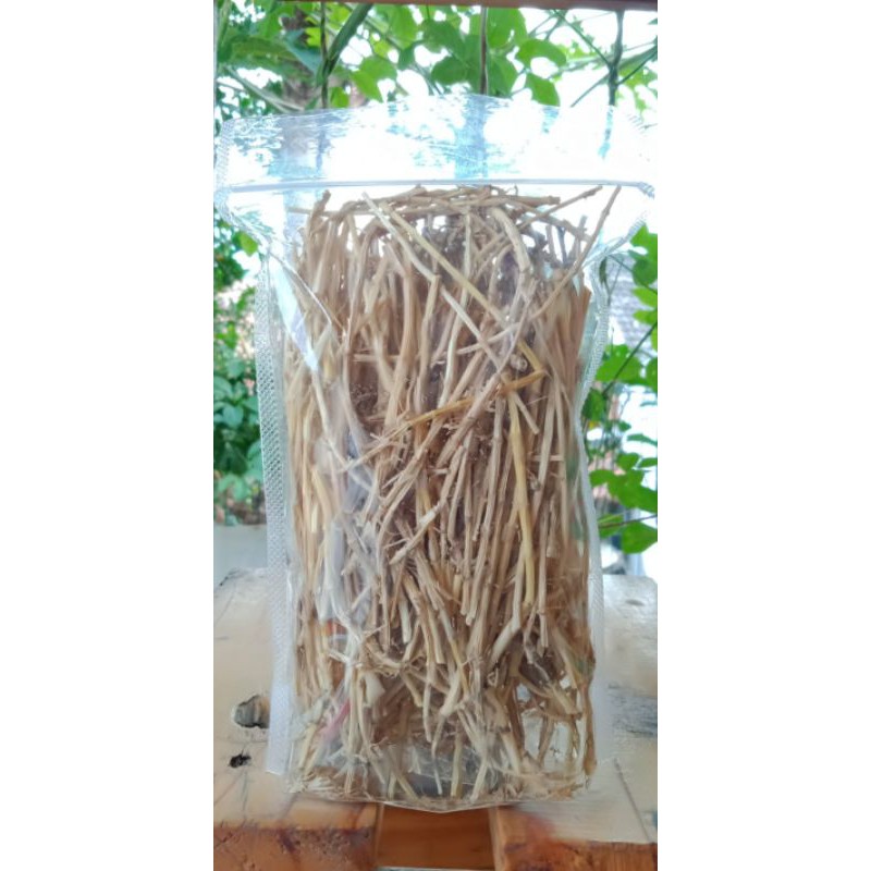 Jual Akar Alang Alang Kering 50 gr/dried alang grass/imperata ...