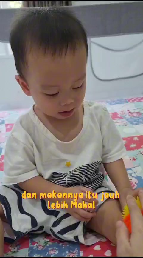 Jual Mainan Edukasi Sensorik Play Taktil dan Propioseptif Set Mulai ...