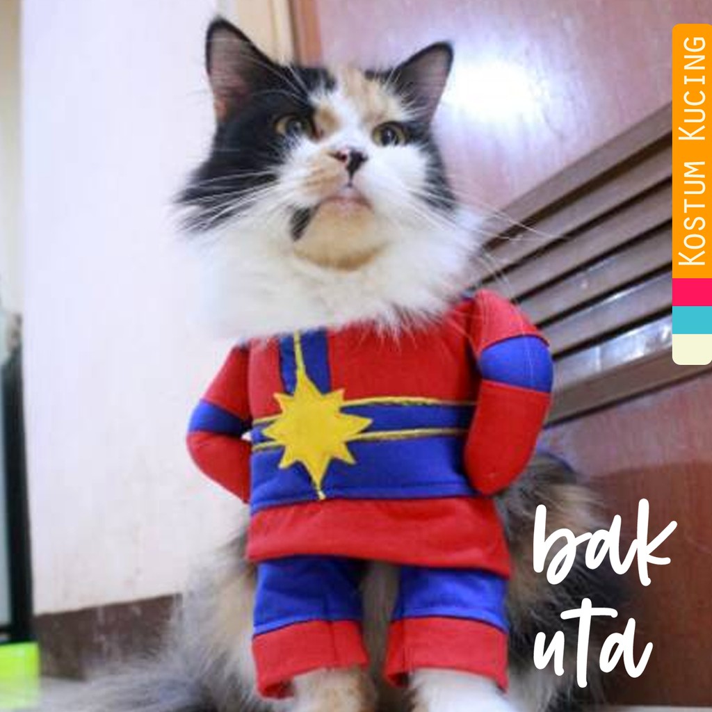 Jual Kostum kapten marvel final untuk kucing dan anjing / baju kucing ...