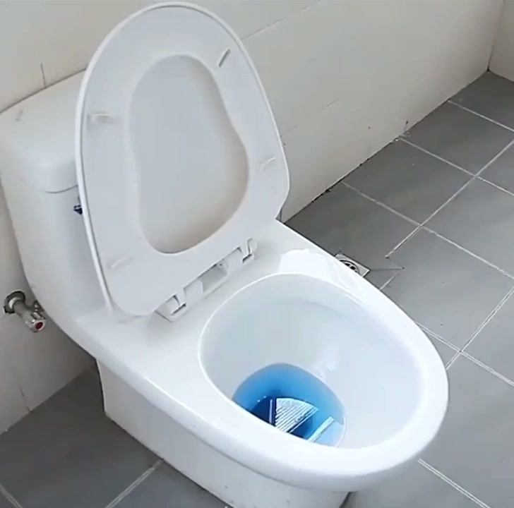 Jual Masterhome Tablet Biru Pembersih Toilet | Penyegar Dan Pewangi Wc ...
