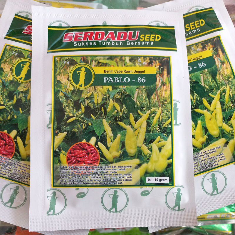 Jual Benih Cabe Rawit PABLO 86 10 Gram (Tipe Ori 212) Serdadu Seed ...