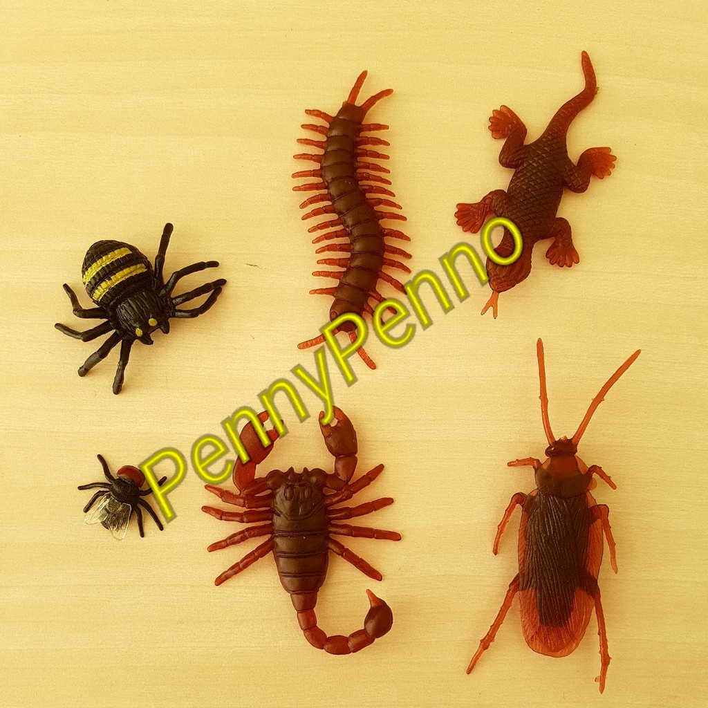 Jual Mainan Kecoa, Cacing, Lalat Mirip Asli | Shopee Indonesia