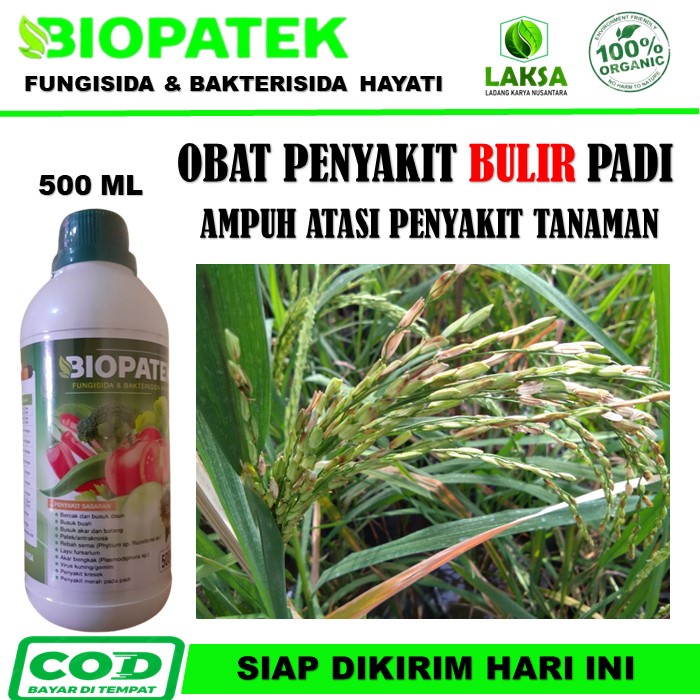 Jual PROMO BIOPATEK 500 ML Obat Penyakit Busuk Bulir Padi Paling Ampuh, Fungisida Organik Obat ...