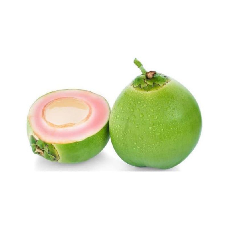 Jual Kelapa Muda Hijau Ijo Buah Kelapa Muda Hijau Air Kelapa Fresh ...