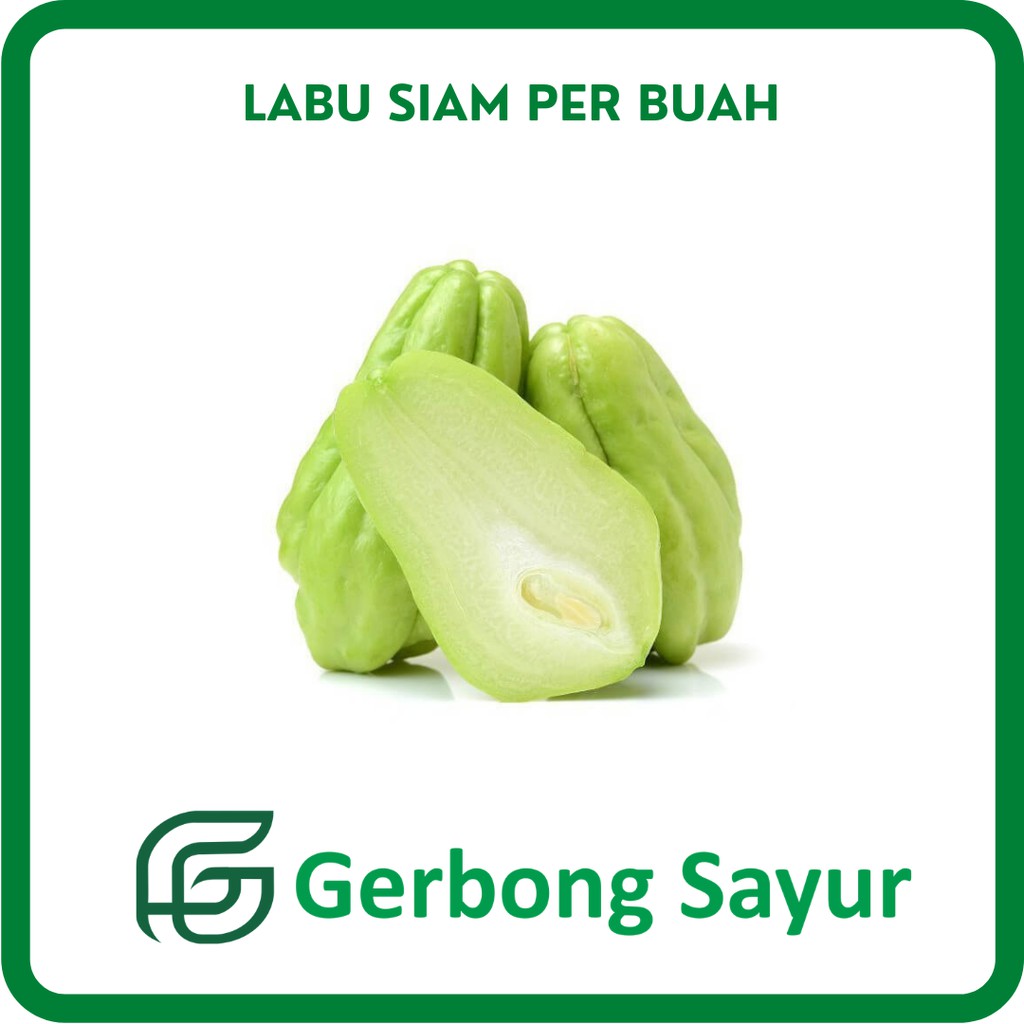 Jual Labu Siam - Labu Besar - Per Buah | Shopee Indonesia