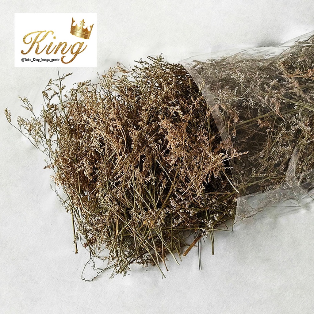 Jual 250g DIY Mini Caspea Lovergrass Bunga Asli Kering Alami Natural ...