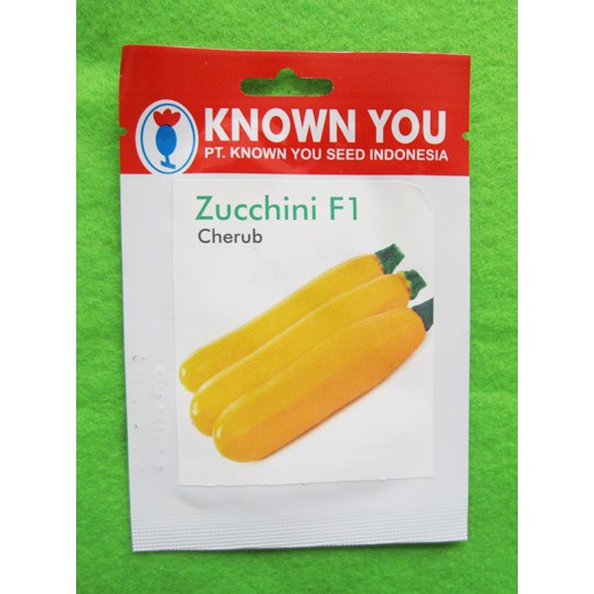 Jual Benih Biji Zucchini Zukini Kuning CHERUB F1 Pack - Known You Seed ...
