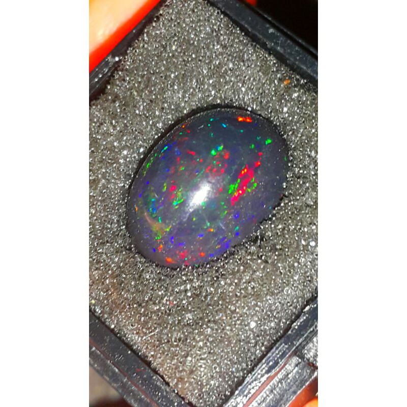 Jual BLACK OPAL OPAQUE/SOLID | Shopee Indonesia