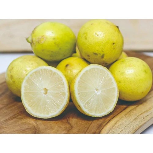 Jual Lemon Lokal 1 Kg Paling Murah | Shopee Indonesia