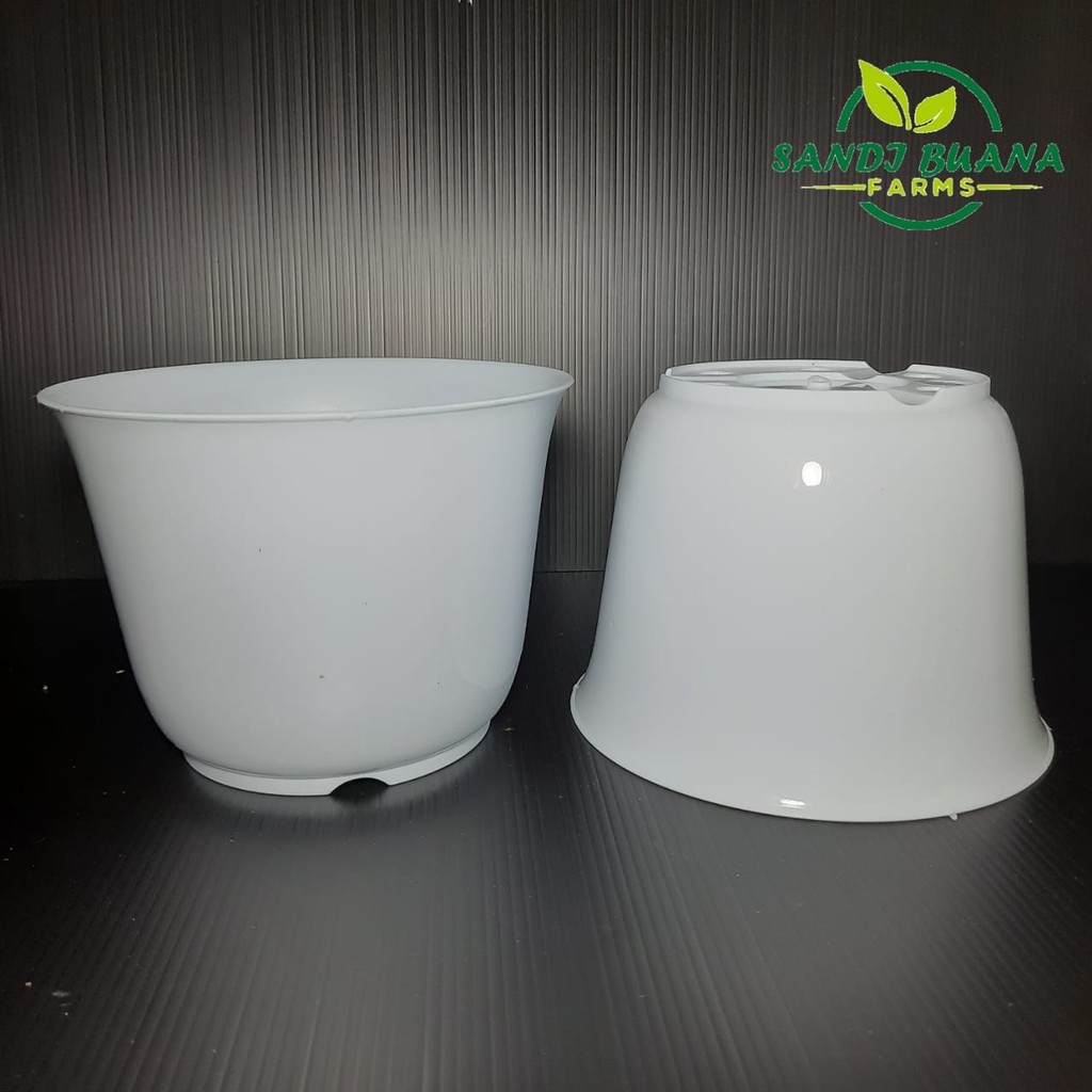 Jual POT AVATAR PUTIH POLOS 20 | Shopee Indonesia