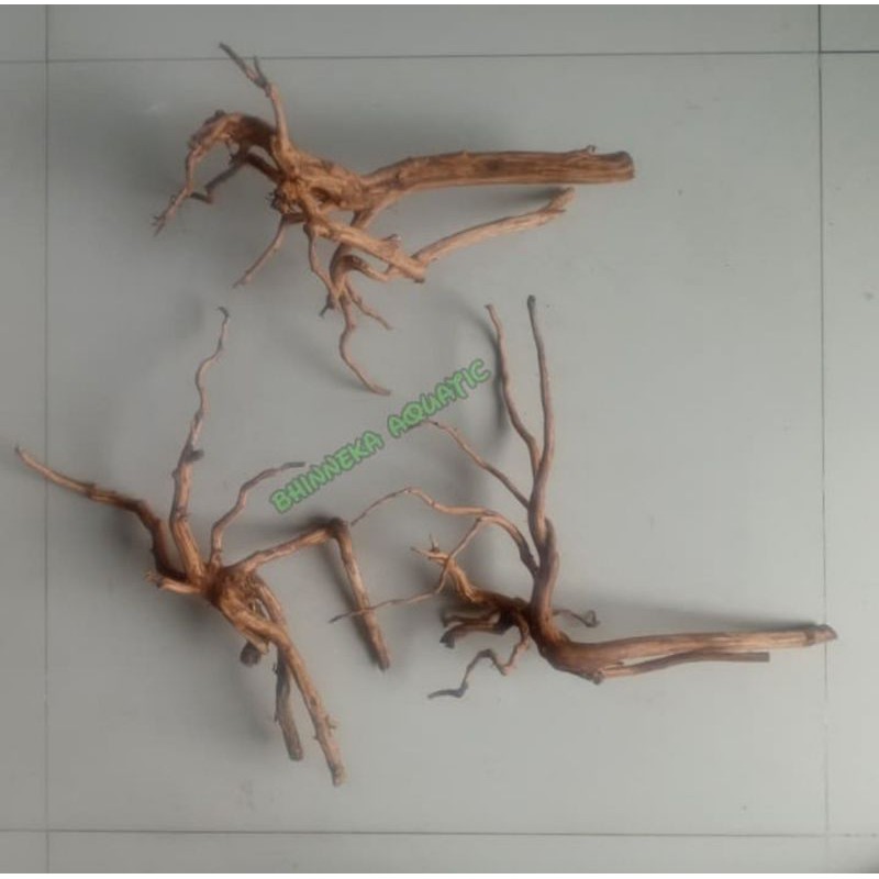 Jual Akar Kayu Rasamala Size S Aquascape Aquarium | Shopee Indonesia