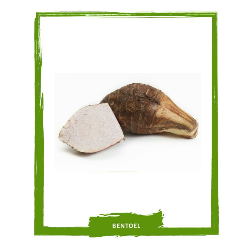 Jual Bentoel / Bentol /Ubi Ubian Segar On Mallahrizwa | Shopee Indonesia