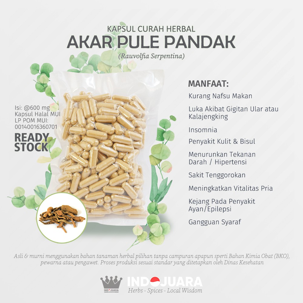 Jual AKAR PULE PANDAK 100 Kapsul Curah Herbal Vitalitas Hepatitis ...