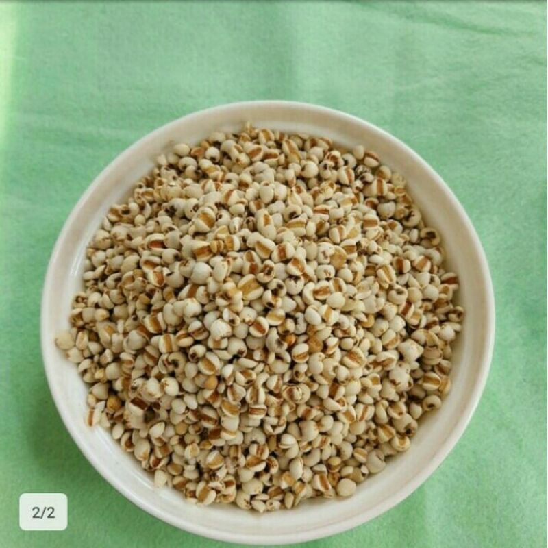 Jual Barley super/biji jali jali isi 300gr | Shopee Indonesia
