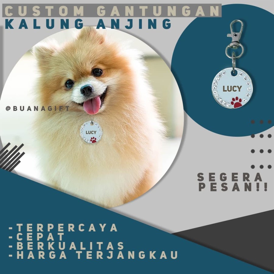 Jual Dog ID Tag liontin kalung kucing anjing custom | Shopee Indonesia