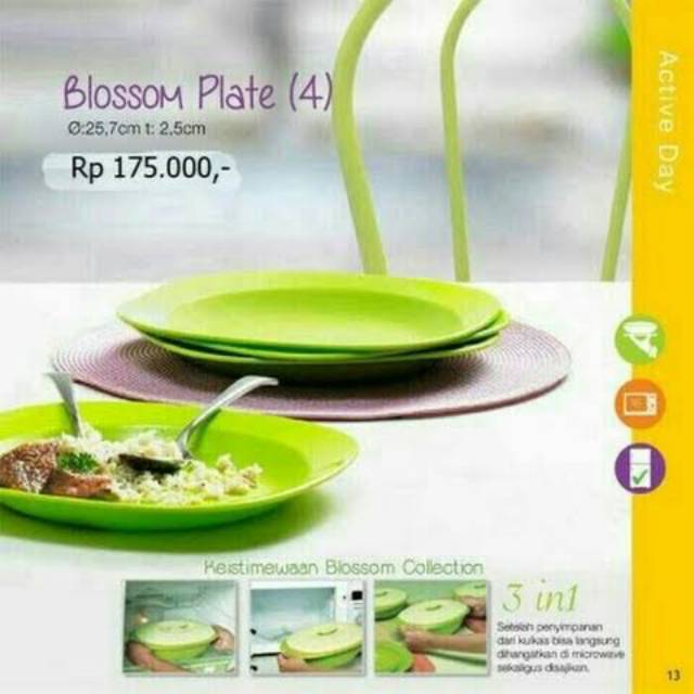 Jual Tupperware Plate blossom (1pcs) | Shopee Indonesia