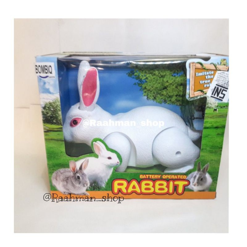 Jual Mainan Anak Kelinci Bisa jalan dan Musik (Rabbit) | Shopee Indonesia
