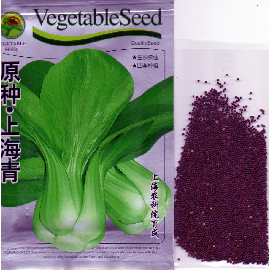 Jual (400 Biji) Benih Pak Choi Hijau (K0020) | Shopee Indonesia