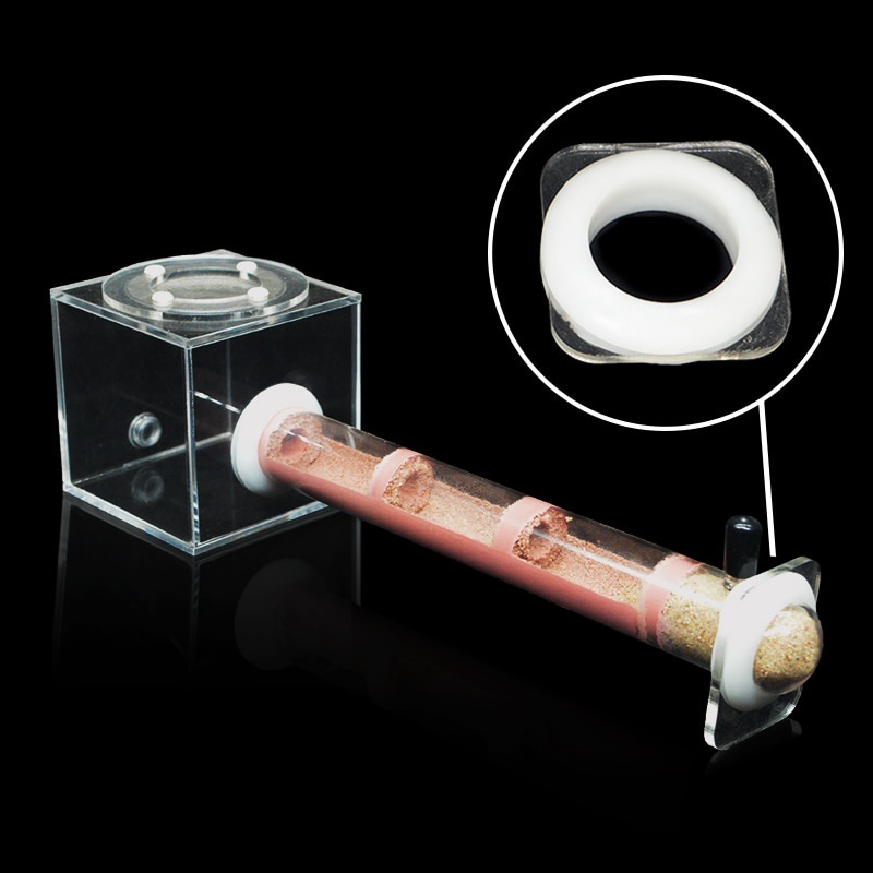 Jual PreOrder 5pcs DIY Ant Farm Test Tube Holder Ant Nest Tube Support ...