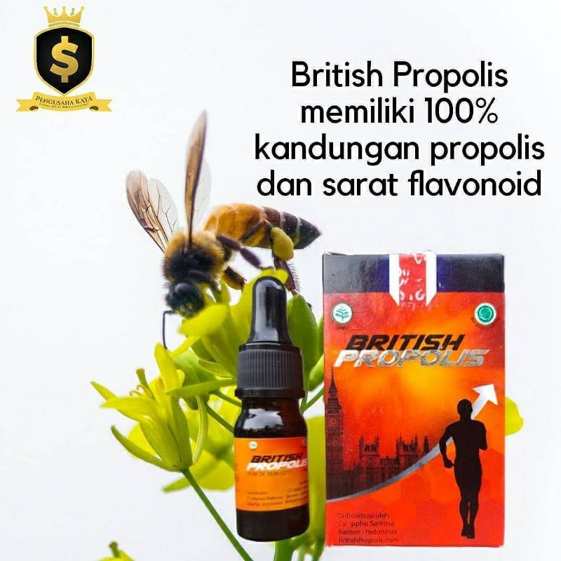 Jual British Propolis Original (6ml) | Shopee Indonesia