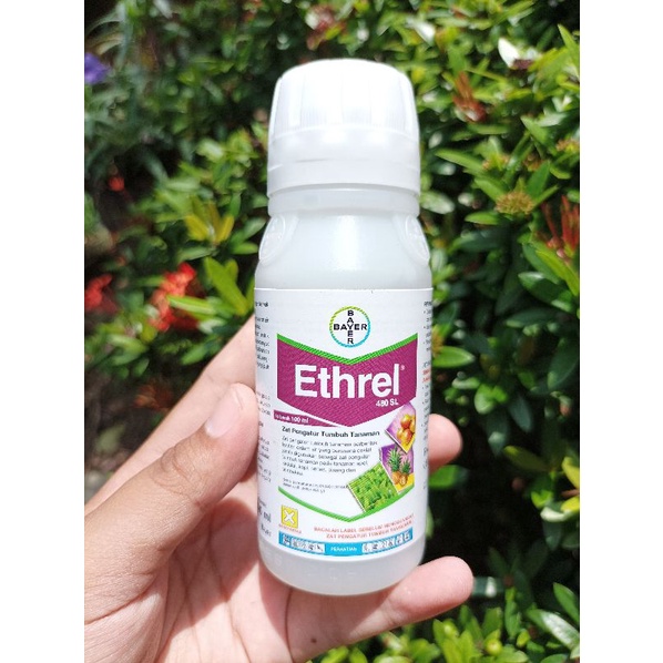 Jual Fungisida ETHREL 100 ml Jaminan ASLI ZPT Zat Pengatur Tumbuh bisa ...