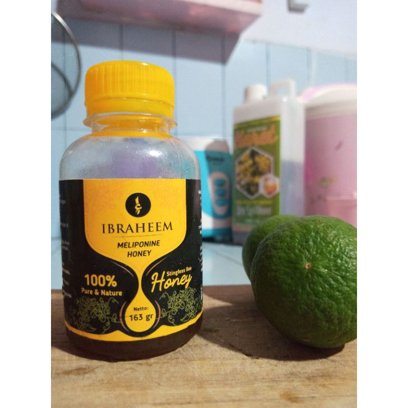 Jual Madu Klanceng / Trigona / Kelulut Ibraheem Meliponine Honey ( IMH ...