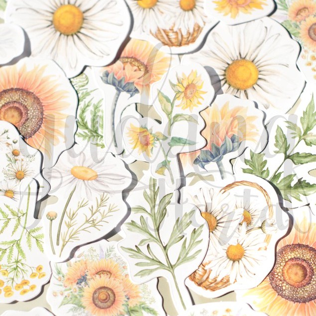 Jual Stiker Sunflower Daisy Bunga Matahari DIY Sticker Scrapbook GC ...