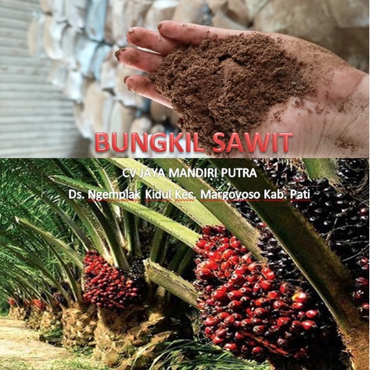 Jual BUNGKIL SAWIT PAKAN TERNAK | Shopee Indonesia