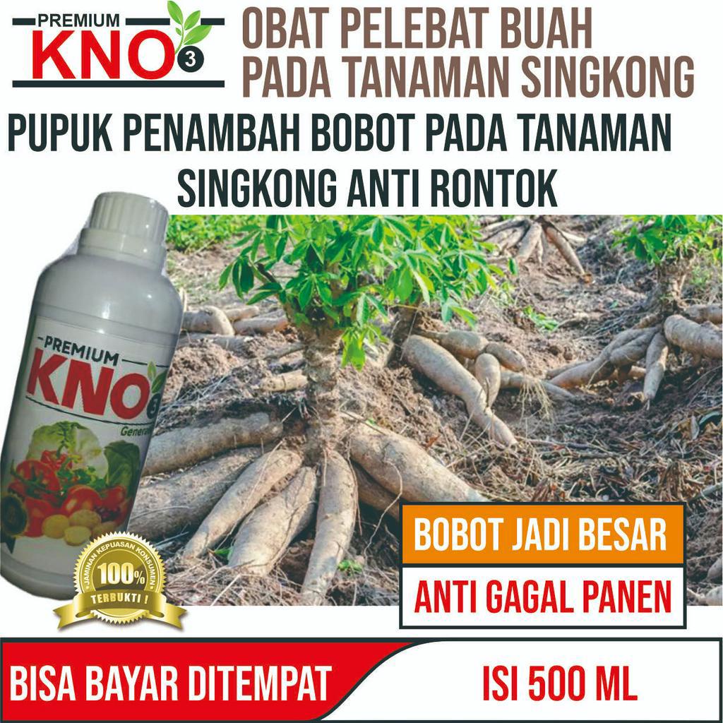 Jual PREMIUM KNO3 Pupuk Pelengkap Cair Plus Pupuk Pembesar Umbi Singkong - Pupuk Pelebat Buah ...