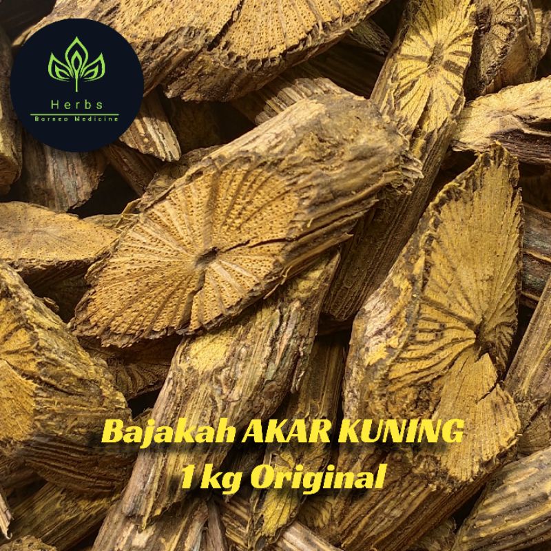 Jual Akar Bajakah-Akar bajaka-kayu bajakah-kayu bajaka-bajakah-bajaka ...
