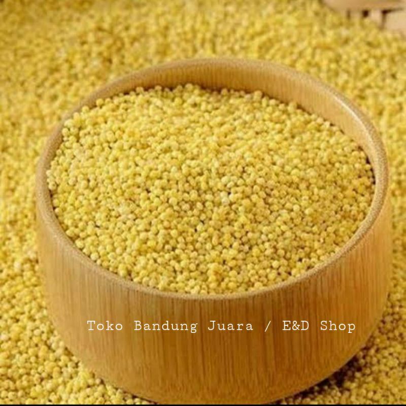 Jual BIJI KUNYIT / BIJI JAWAK / JEWAWUT / SEKOI / FOXTAIL MILLET ...