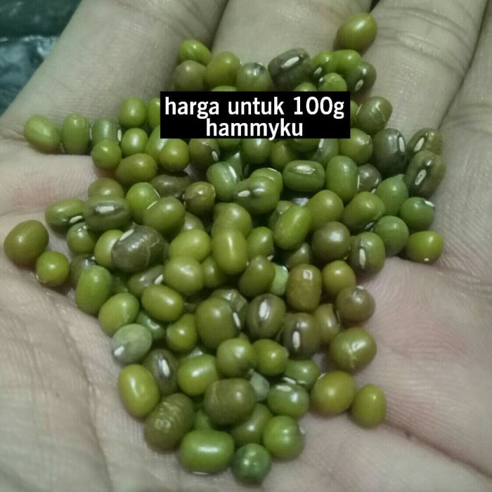 Jual Hamster-Vitamin-Obat- Kacang Hijau - Hamster -Obat-Vitamin-Hamster ...